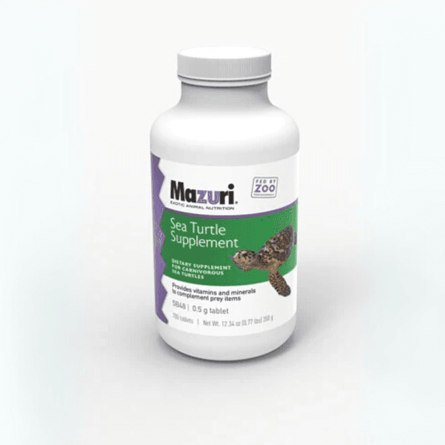 Sea Turtle Supplement | Kiezebrink